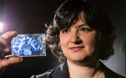 Azadeh Yazdan awarded AHA funding for innovative stroke treatment | UW ...